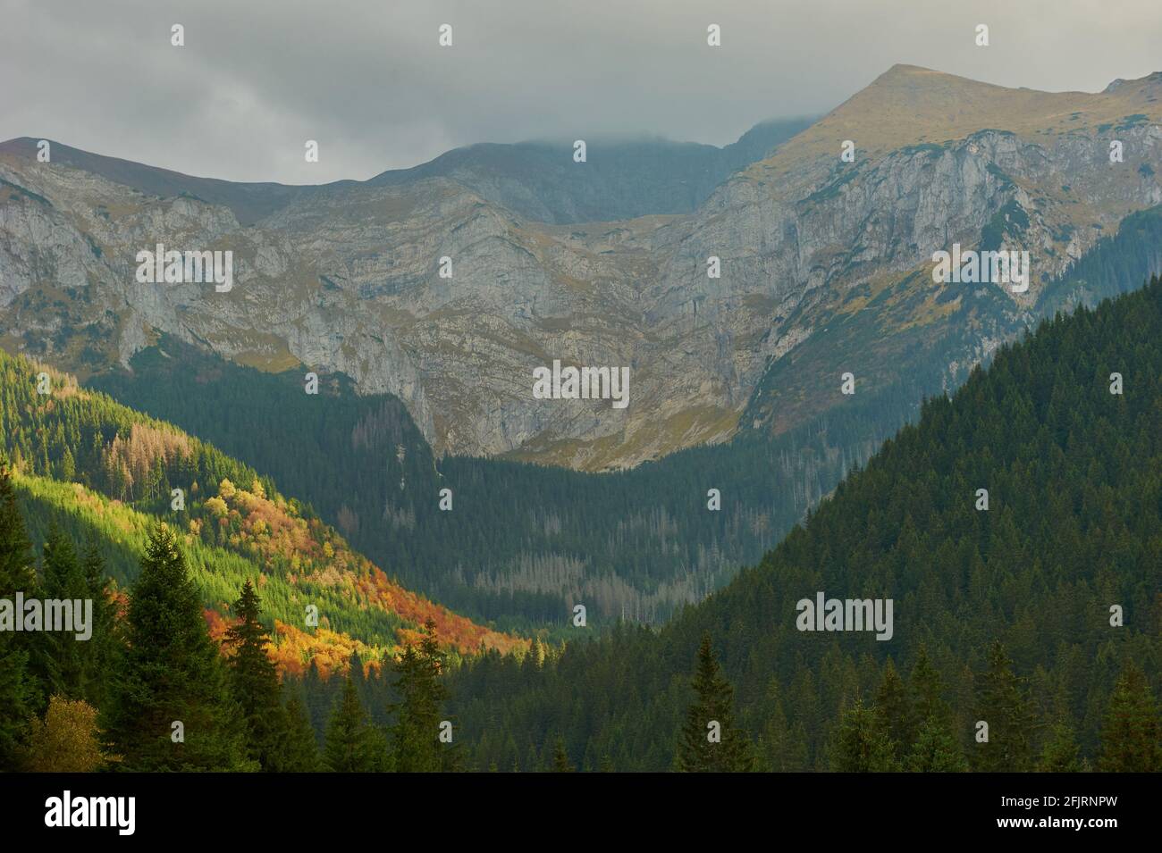 Autumn ridge hi-res stock photography and images - Alamy