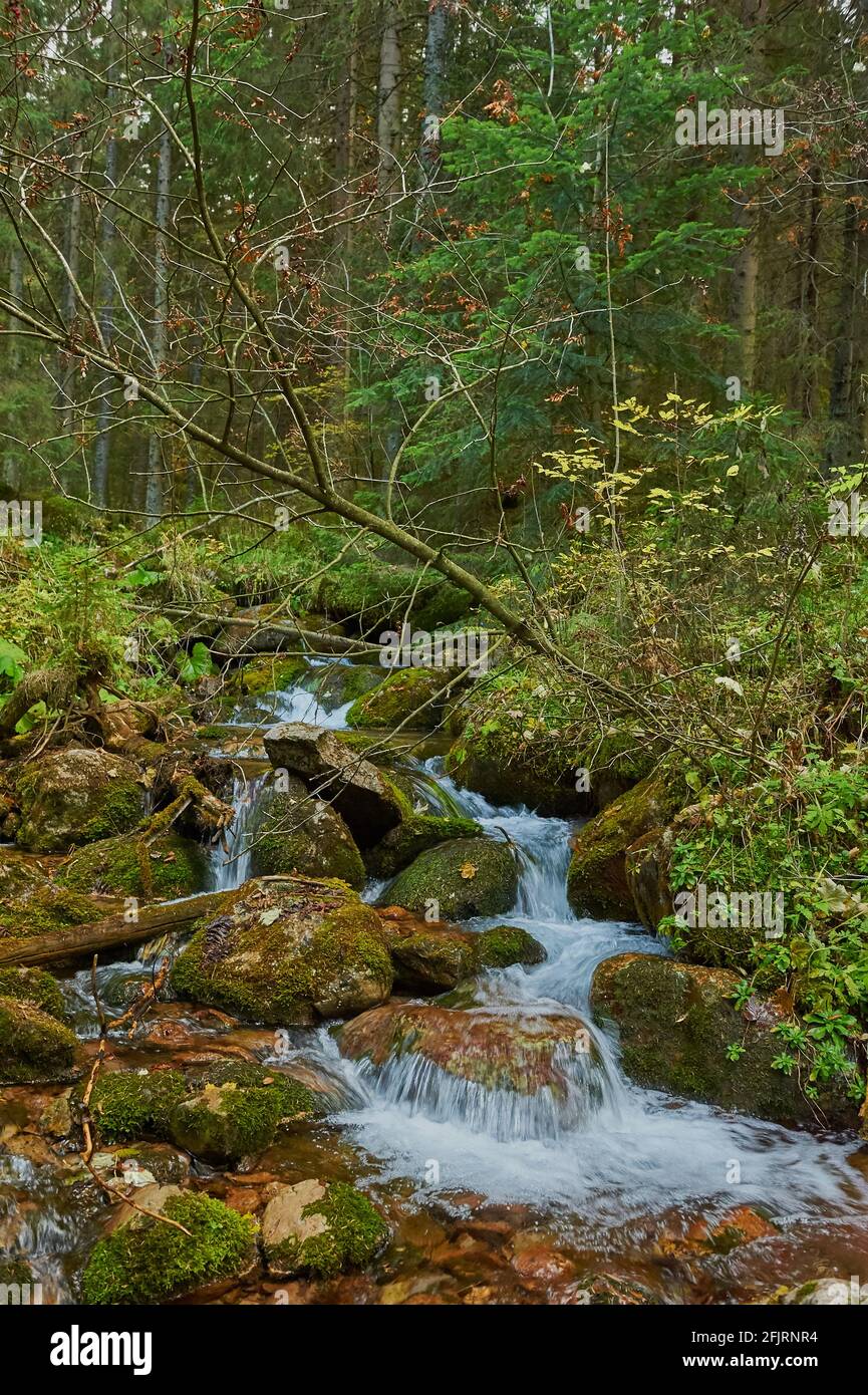 Waterfalls on a stream running through the forest Stock Photo - Alamy