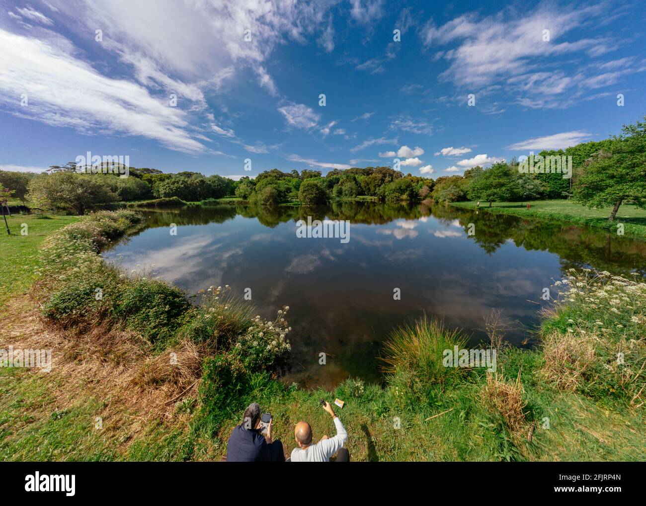 Panorama View of a Lake in a Grass Field - Park, Garden - Porto ...