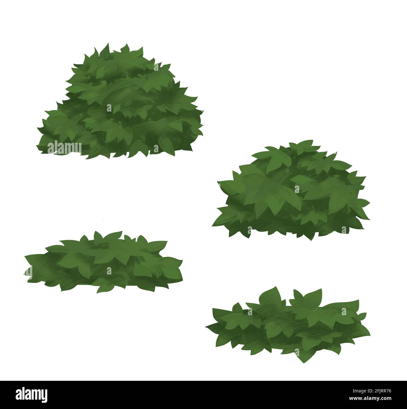 Green plants isolated on a white background Stock Photo - Alamy