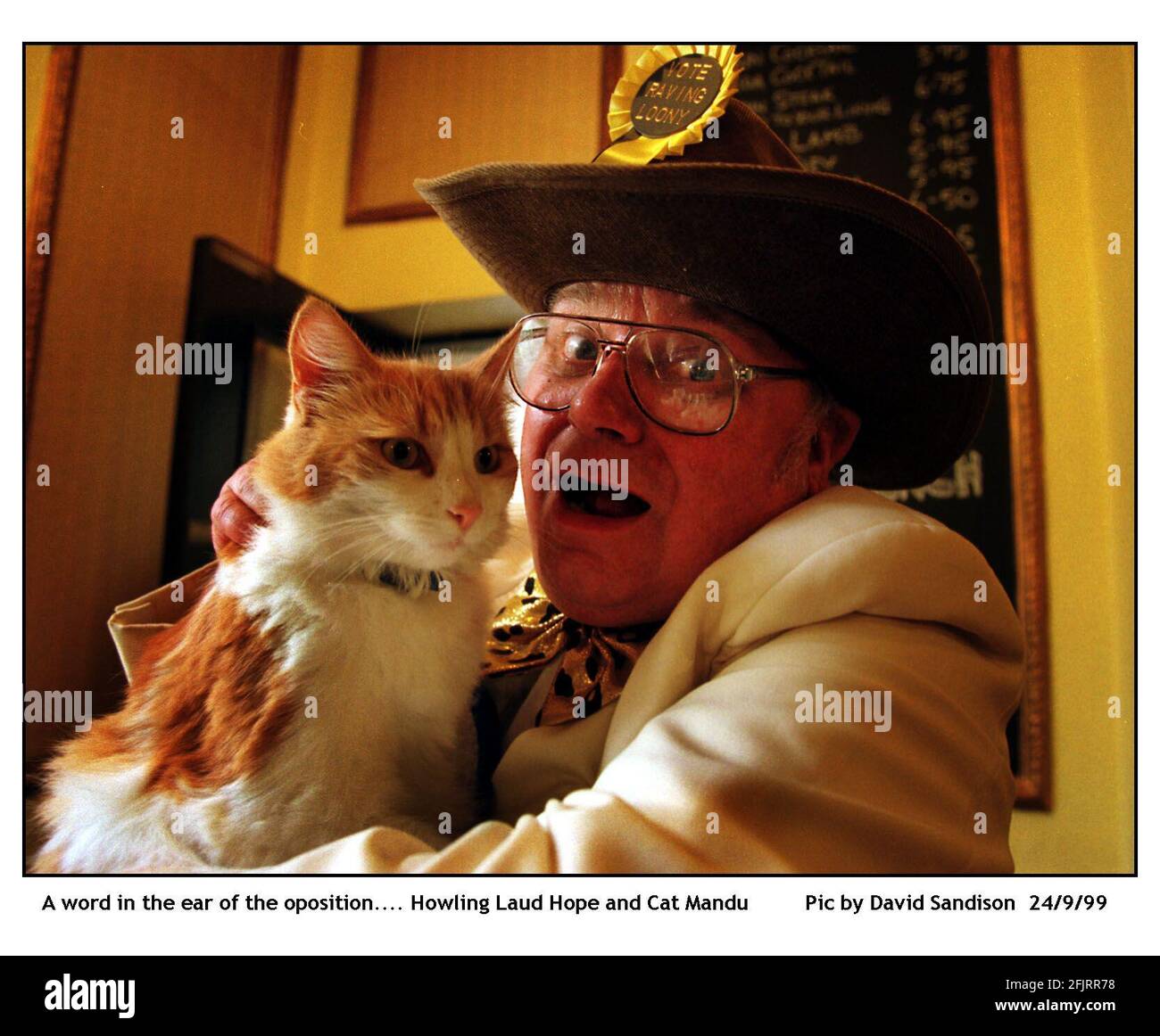 Monster raving loony party cat hi-res stock photography and images - Alamy