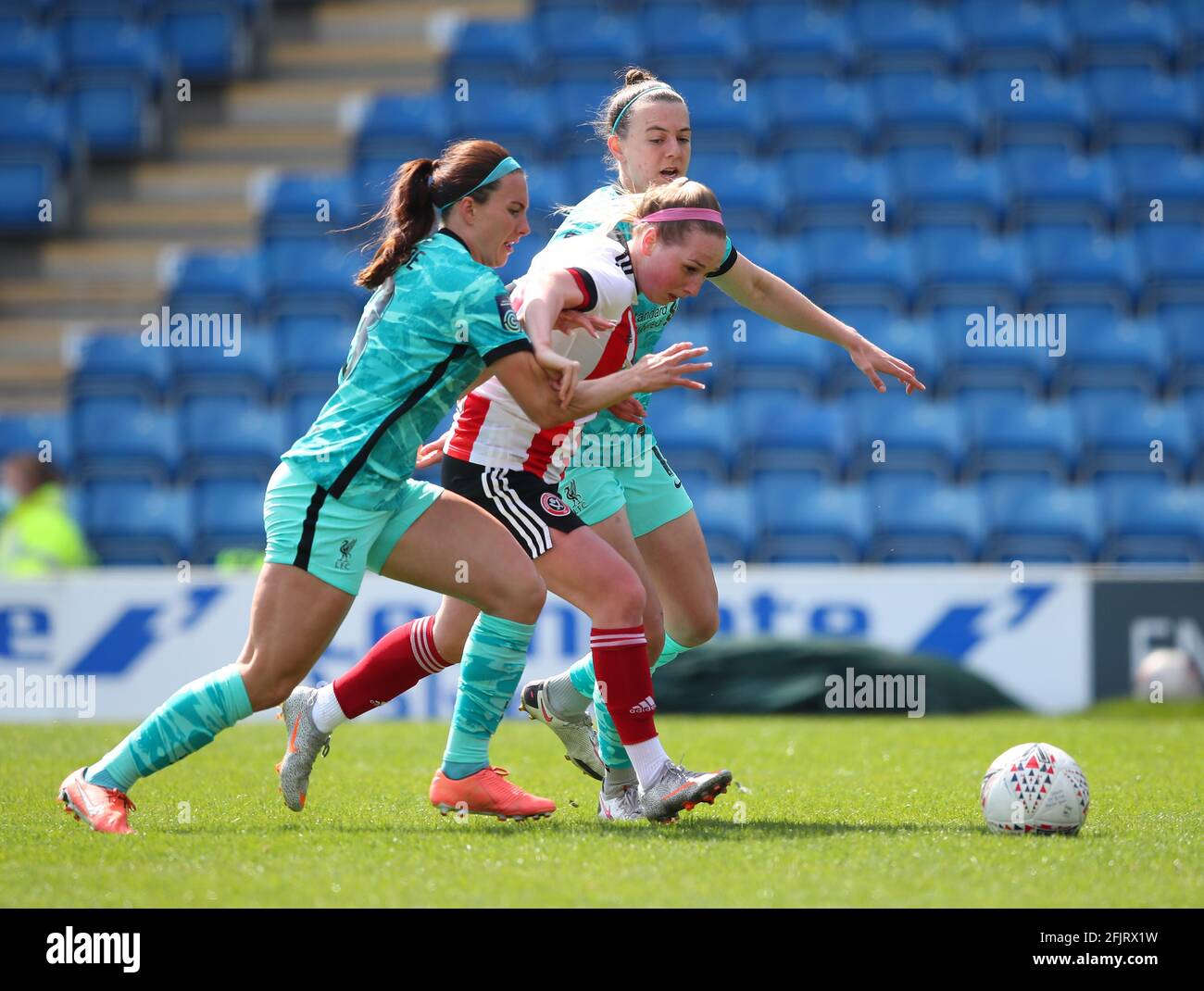 Simon Rayner High Resolution Stock Photography and Images - Alamy