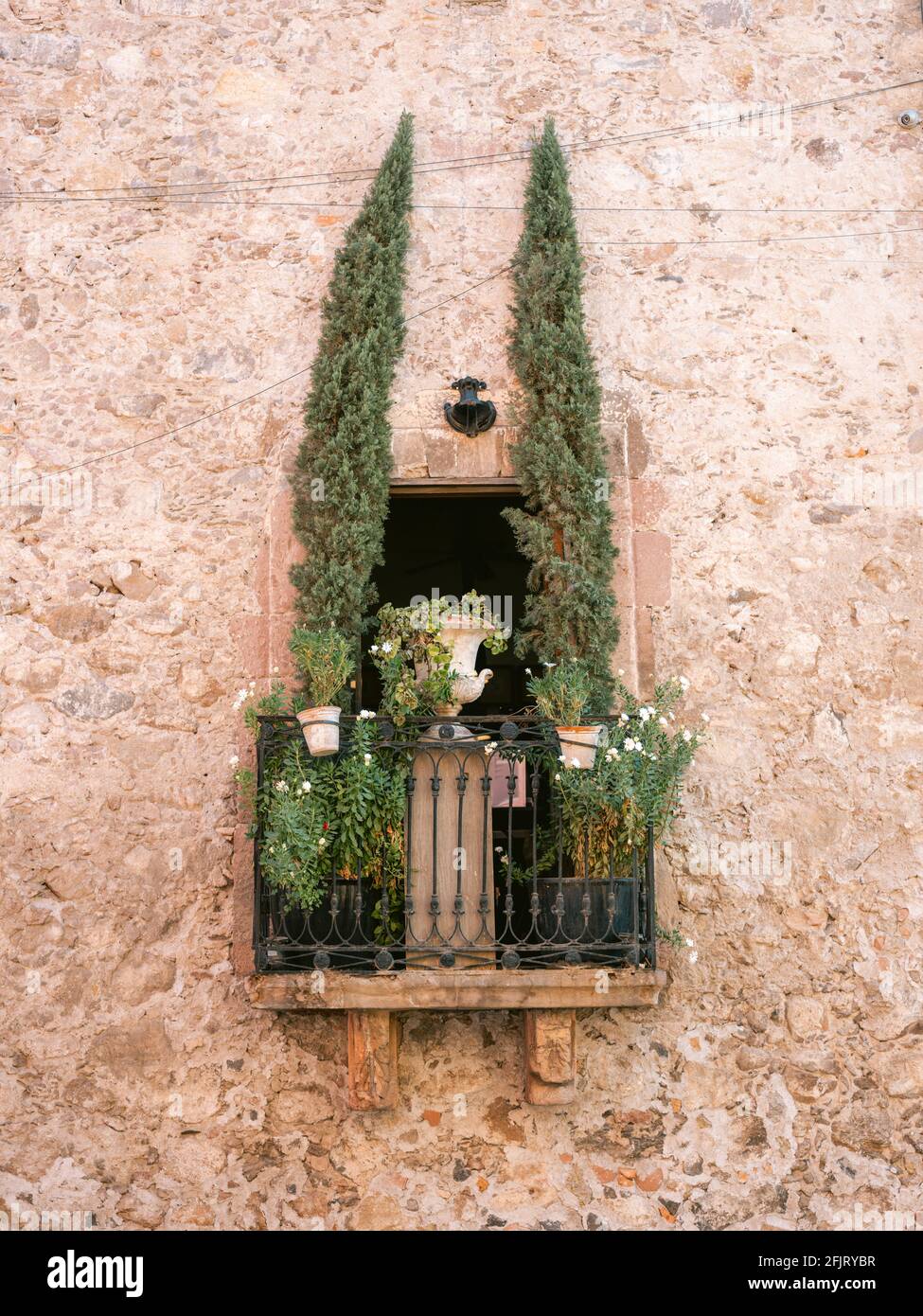 Botanical window - Travel photography in San Miguel de Allende, Mexico ...