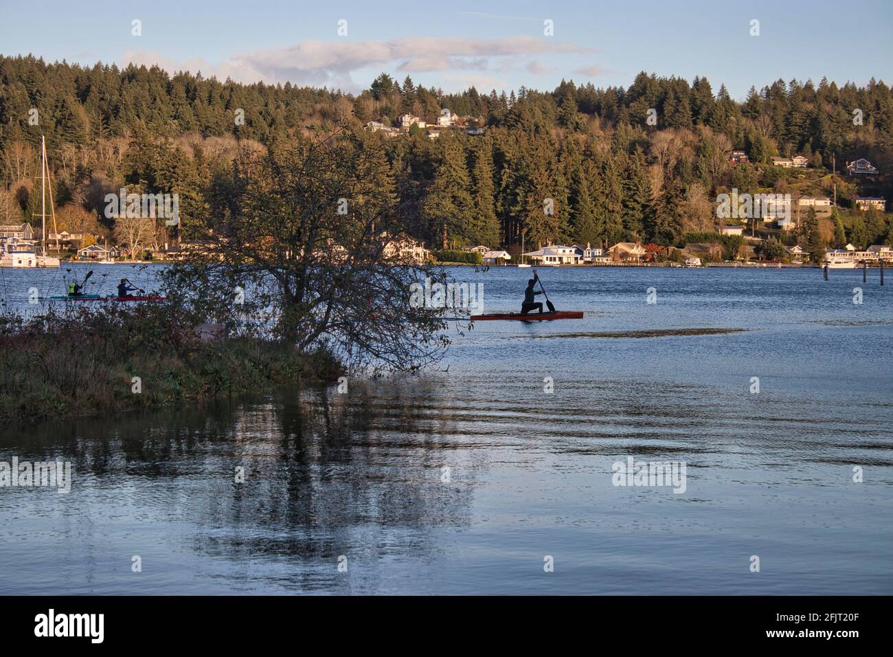 man on kayak in evening on puget sound in gig harbor Stock Photo - Alamy