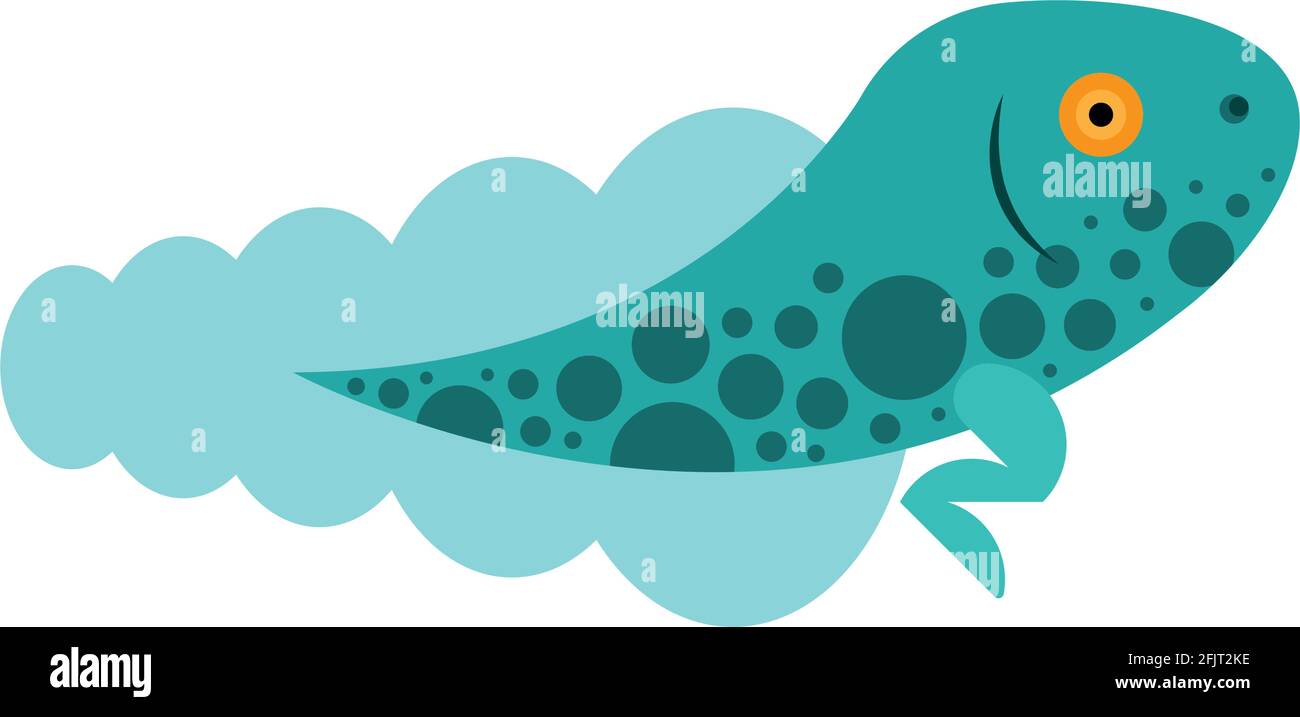 cute tadpole amphibian comic character Stock Vector Image & Art - Alamy