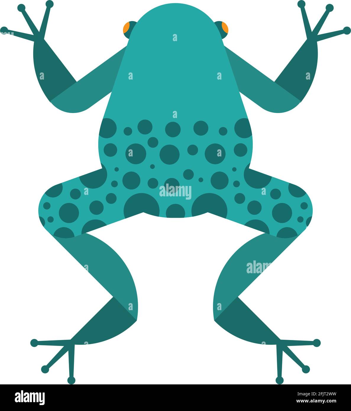frog cute amphibian comic character Stock Vector Image & Art - Alamy