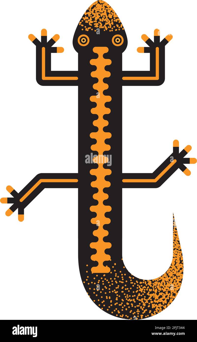 newt cute amphibian comic character Stock Vector Image & Art - Alamy