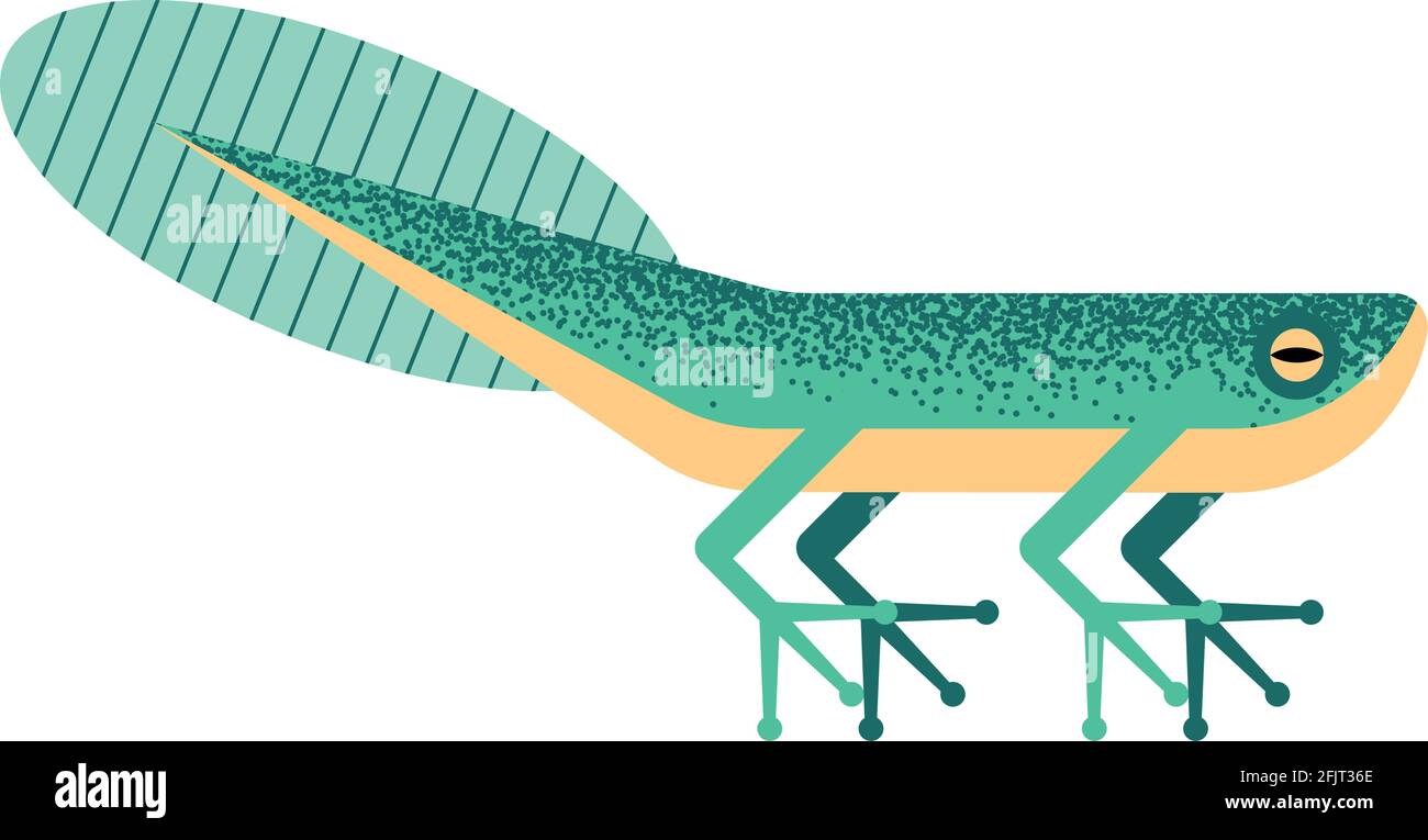 cute lizard amphibian comic character Stock Vector Image & Art - Alamy