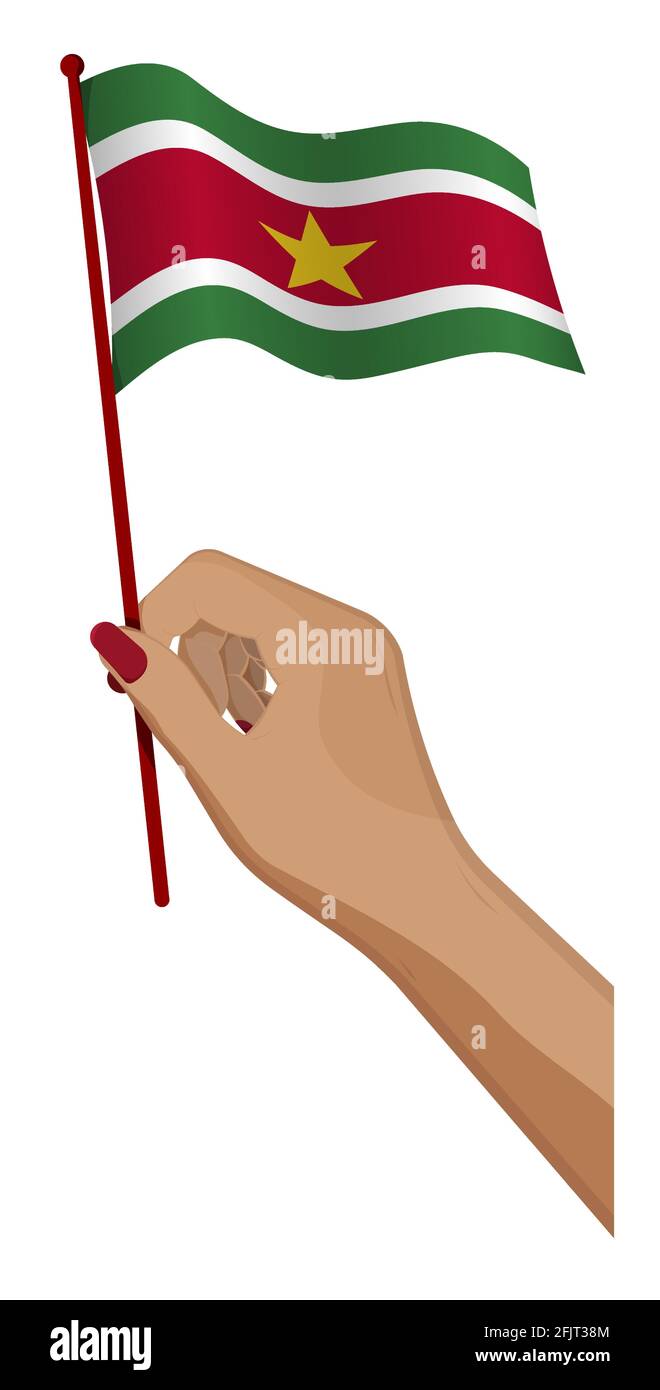 Female hand gently holds small Suriname flag. Holiday design element. Cartoon vector on white ...