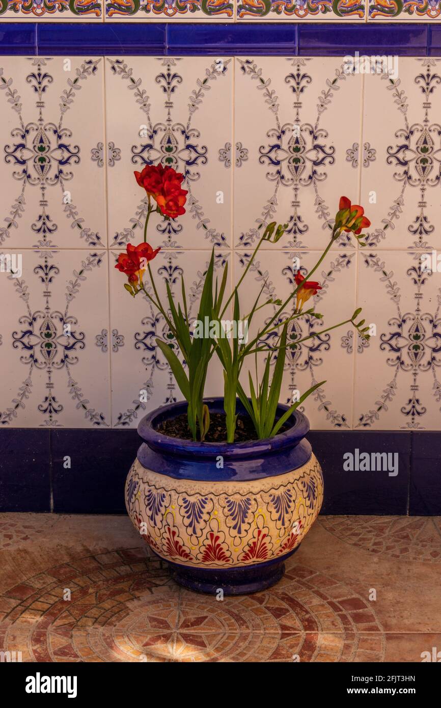Hand Painted Ceramic Plant Pots Stock Photo - Alamy