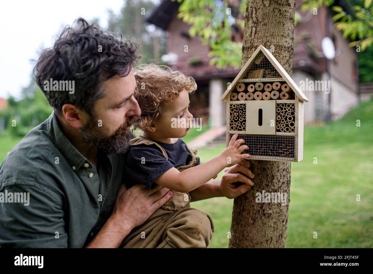Small girl with father holding bug and insect hotel in garden ...