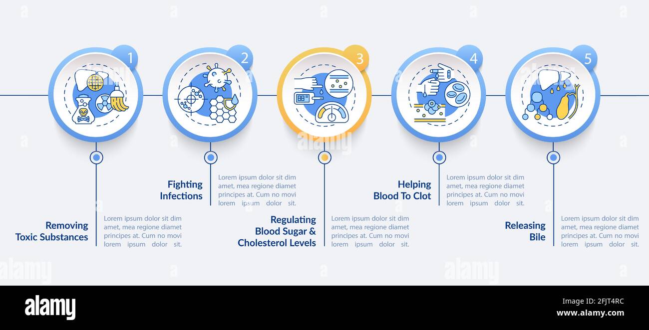 Liver health infographic hi-res stock photography and images - Alamy