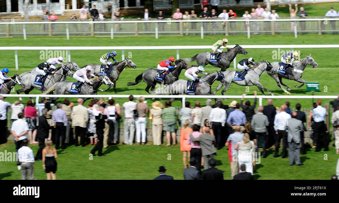 RACING NEWMARKET. THE SUPER 6 HANDICAP FOR GRAY HORSES. 1st JIM CROWLEY ...