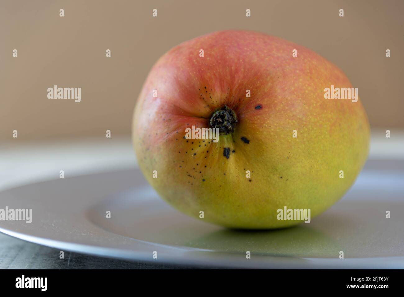 Fresh pink mango fruit. Sweet fruit from northeastern Brazil. Strains ...