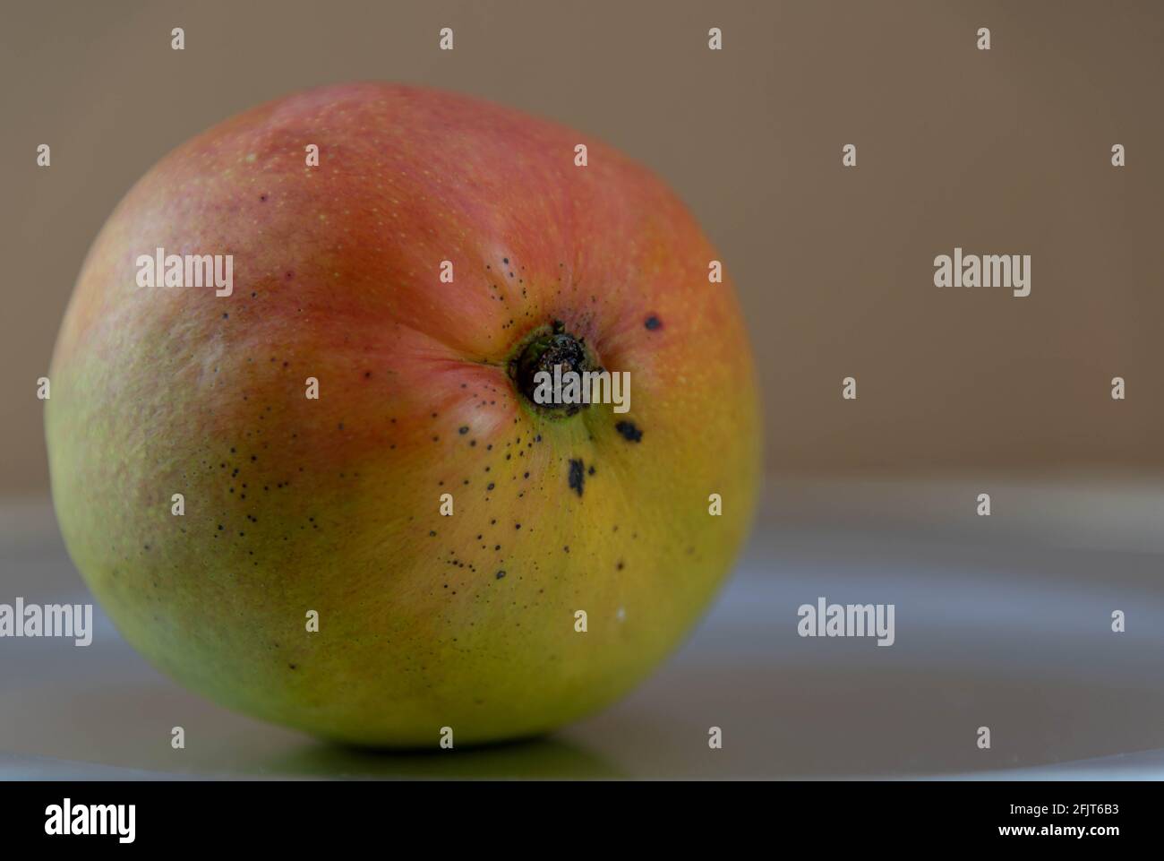 Fresh pink mango fruit. Sweet fruit from northeastern Brazil. Strains ...