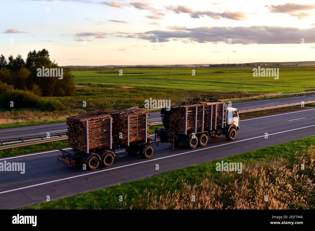 Timber truck transporting cut trees from forest along highway ...