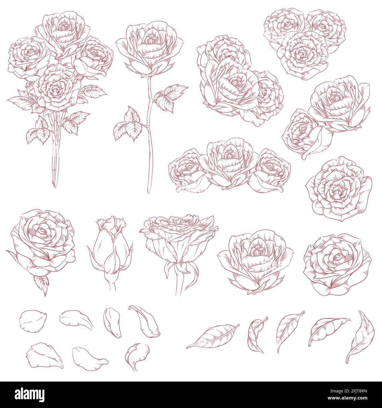 Sketch flower Stock Vector Images - Alamy