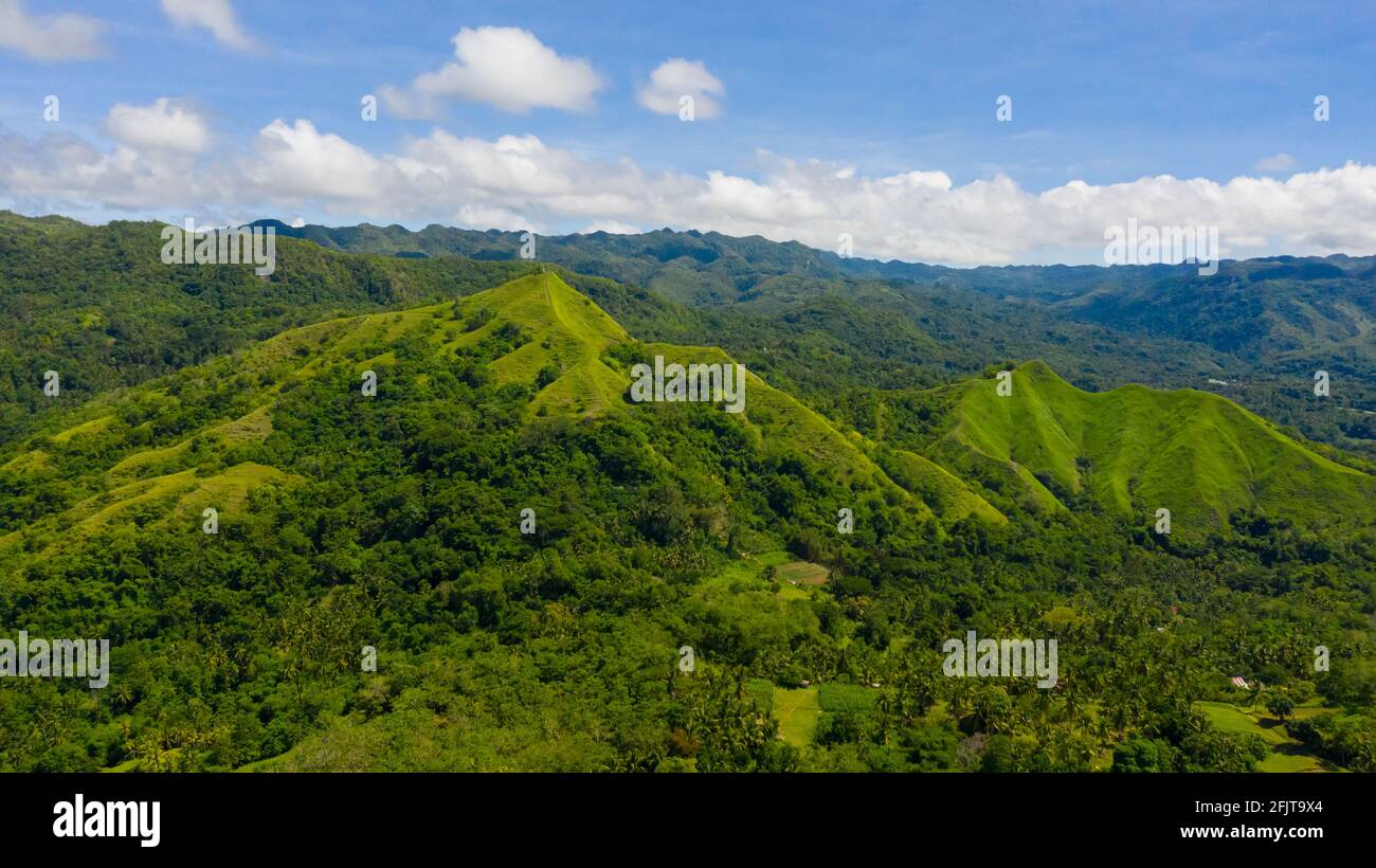 Tropical landscape: mountains with rainforest and hills with green ...