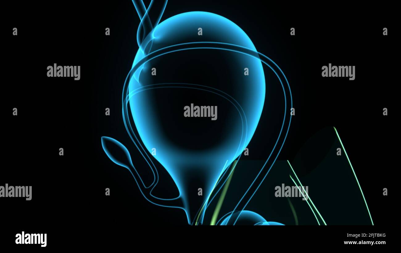 3d illustration of human body male reproductive system anatomy Stock ...