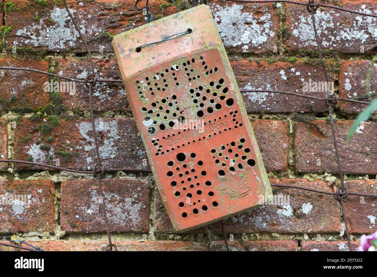 Insect box for garden wildlife made from brick, Pensthorpe, Norfolk, UK ...