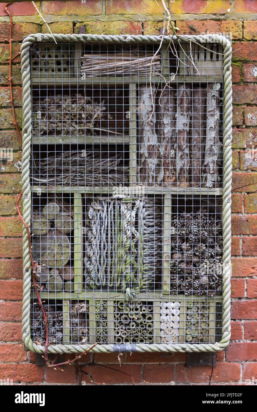 Insect box hi-res stock photography and images - Alamy