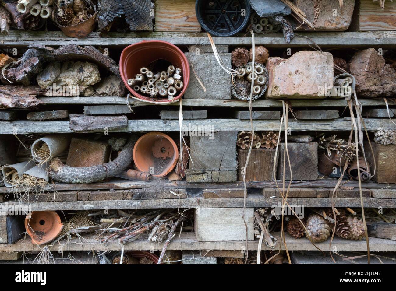 Bug hotel insect box detail, Scottish Borders, UK Stock Photo - Alamy