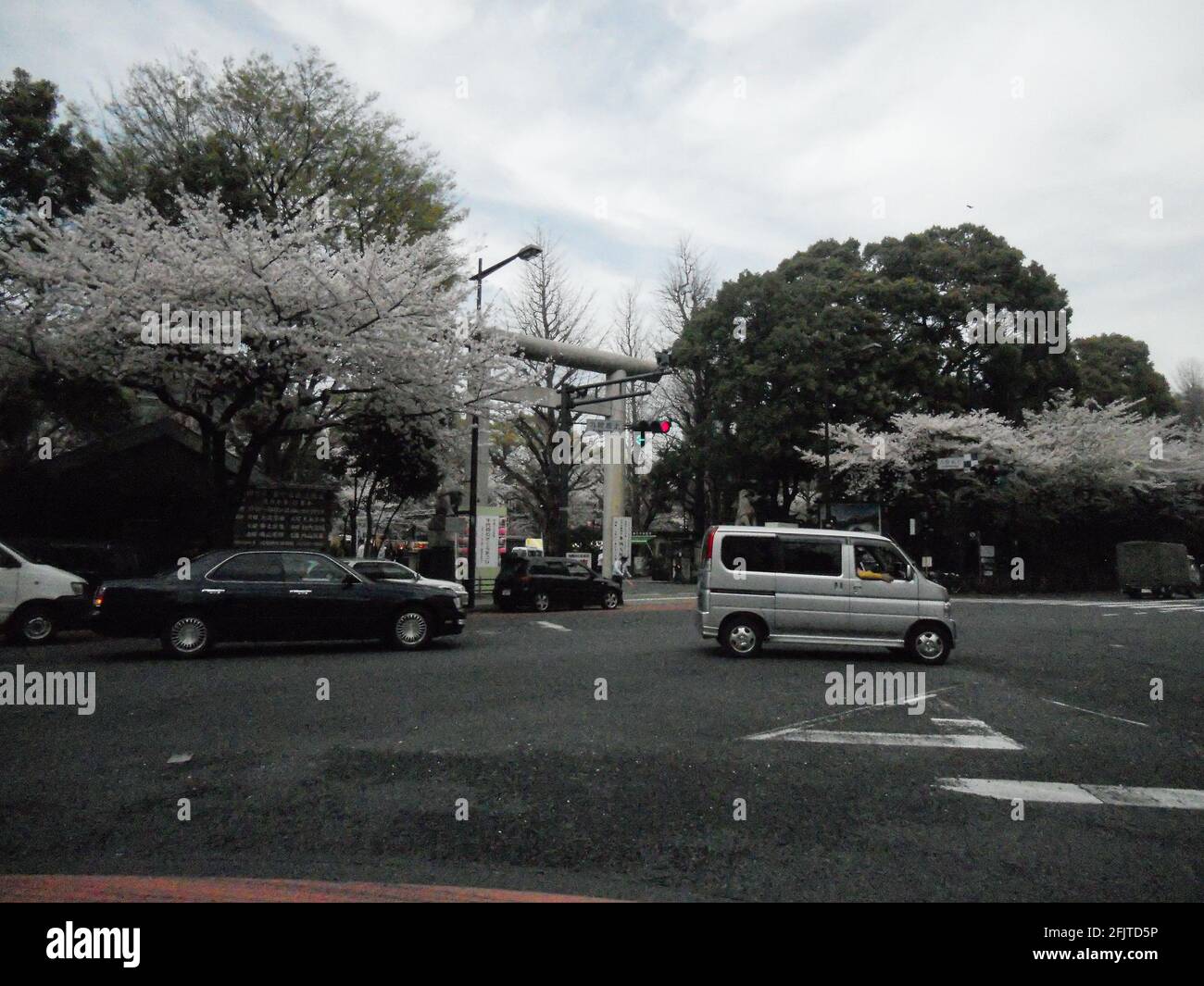 TOKYO, JAPAN - Feb 01, 2021: Trees blossom in the street of Tokyo ...