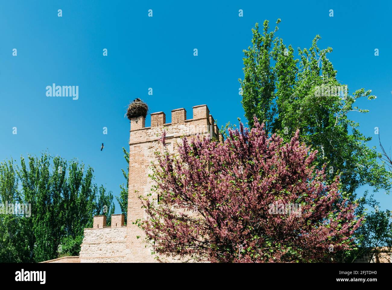 Map of alcala hi-res stock photography and images - Alamy