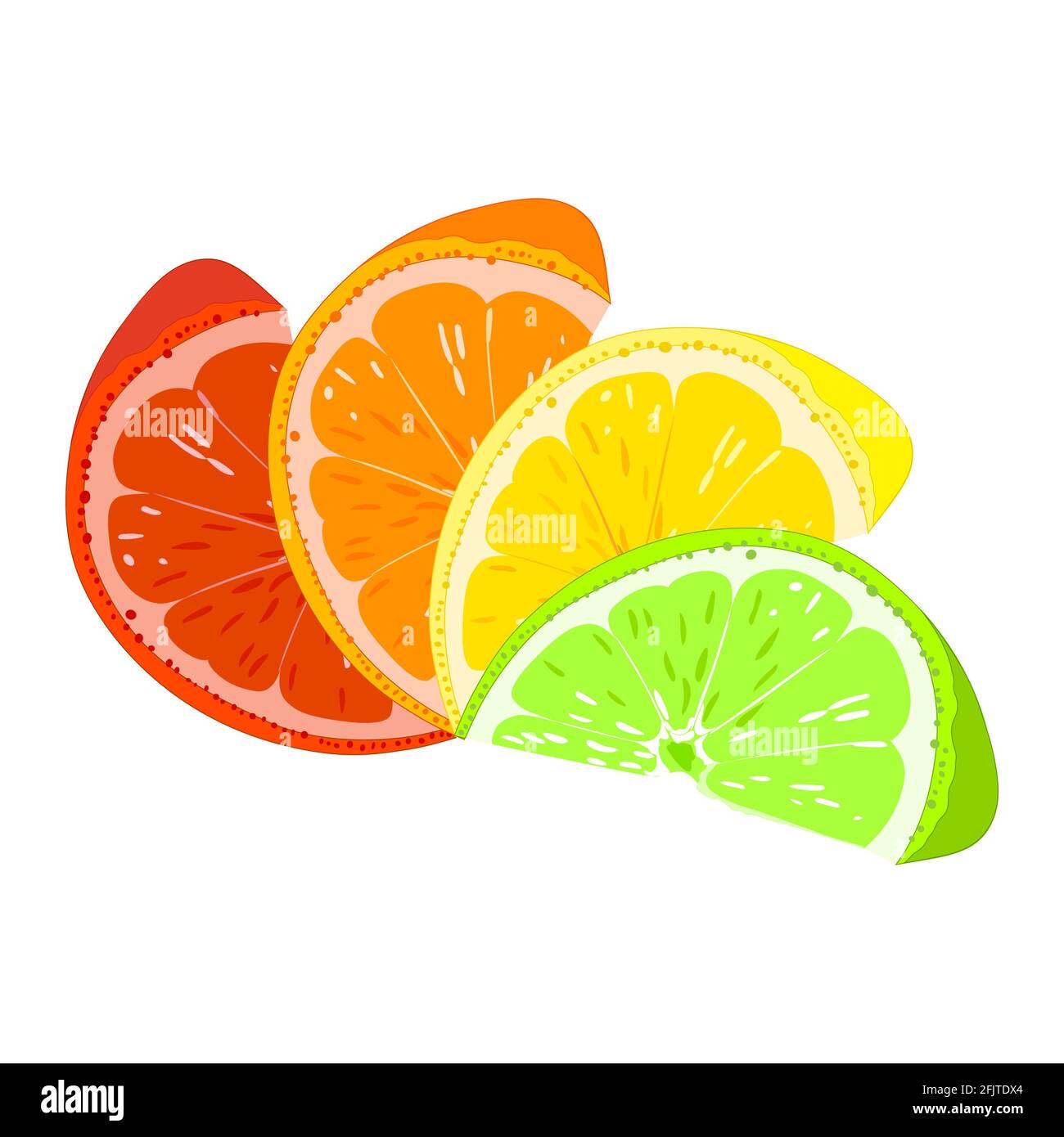 Orange, lemon, lime grapefruit Citrus slices Close-up. Illustration ...
