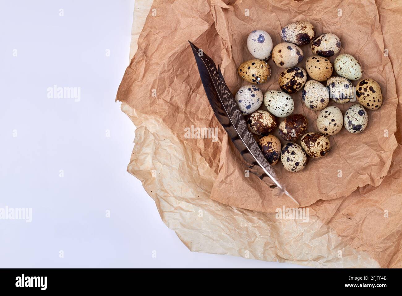 Quail feather and eggs top view Stock Photo - Alamy