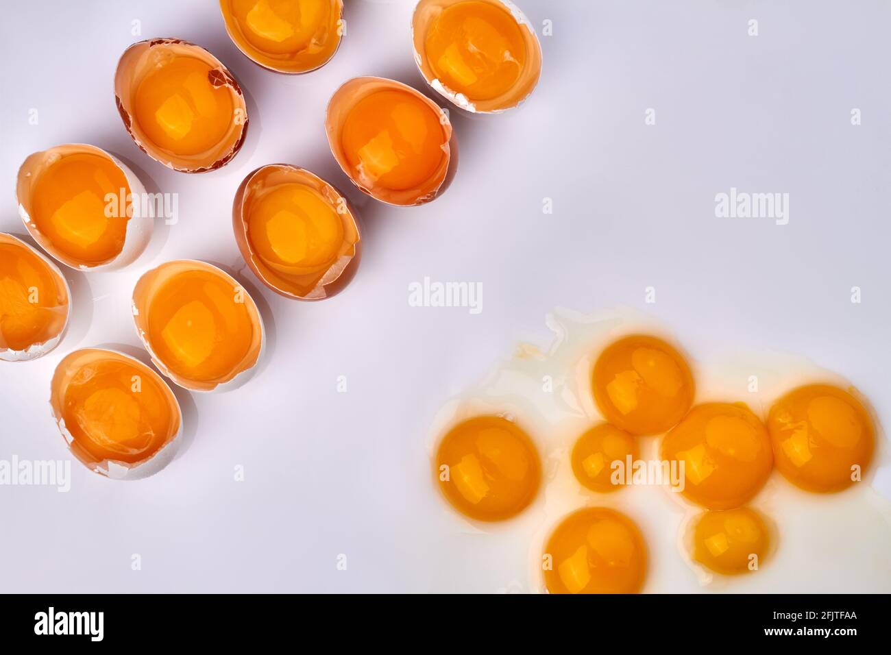 Many chicken egg yolks on white background Stock Photo - Alamy