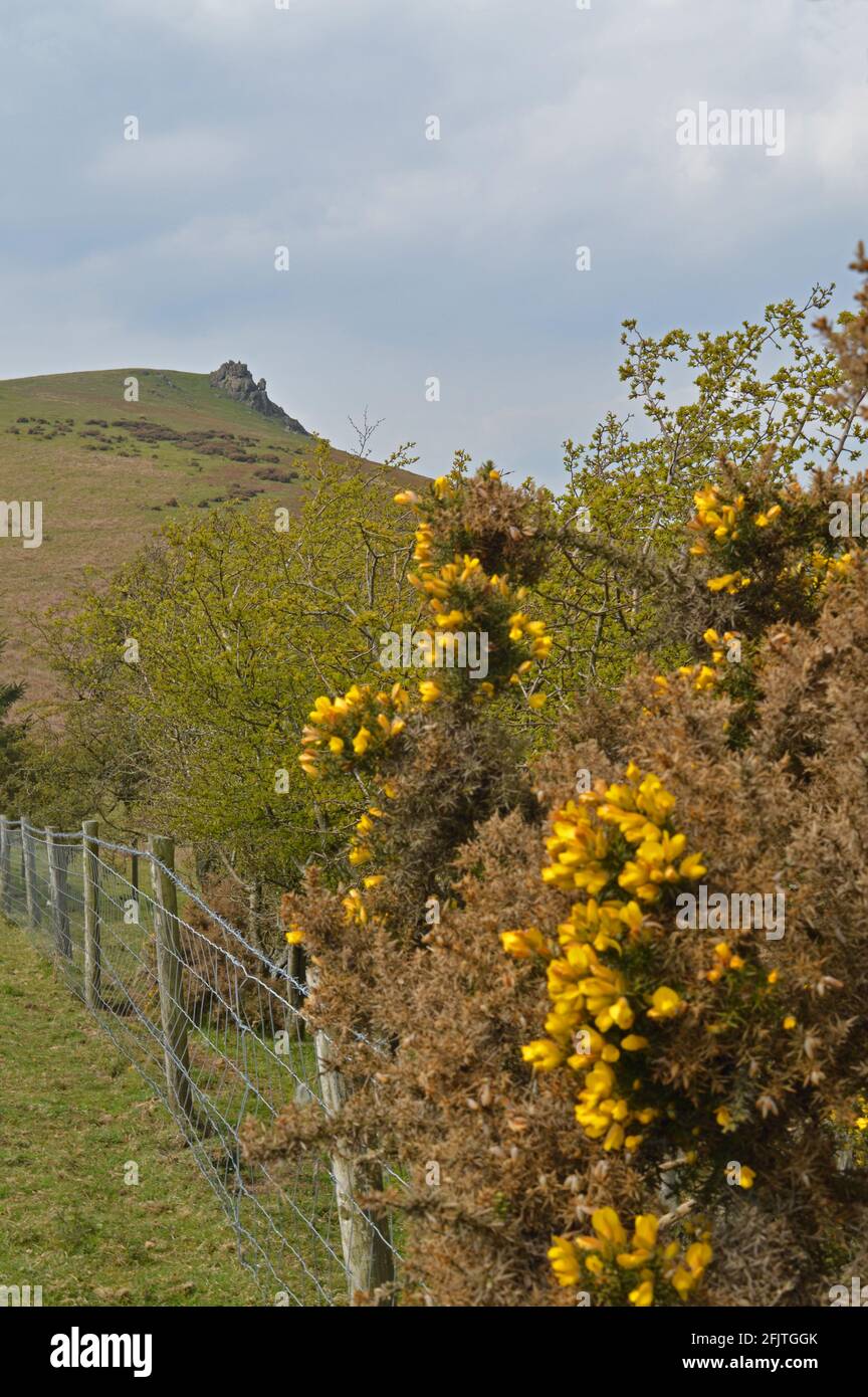 Willstone hill hi-res stock photography and images - Alamy