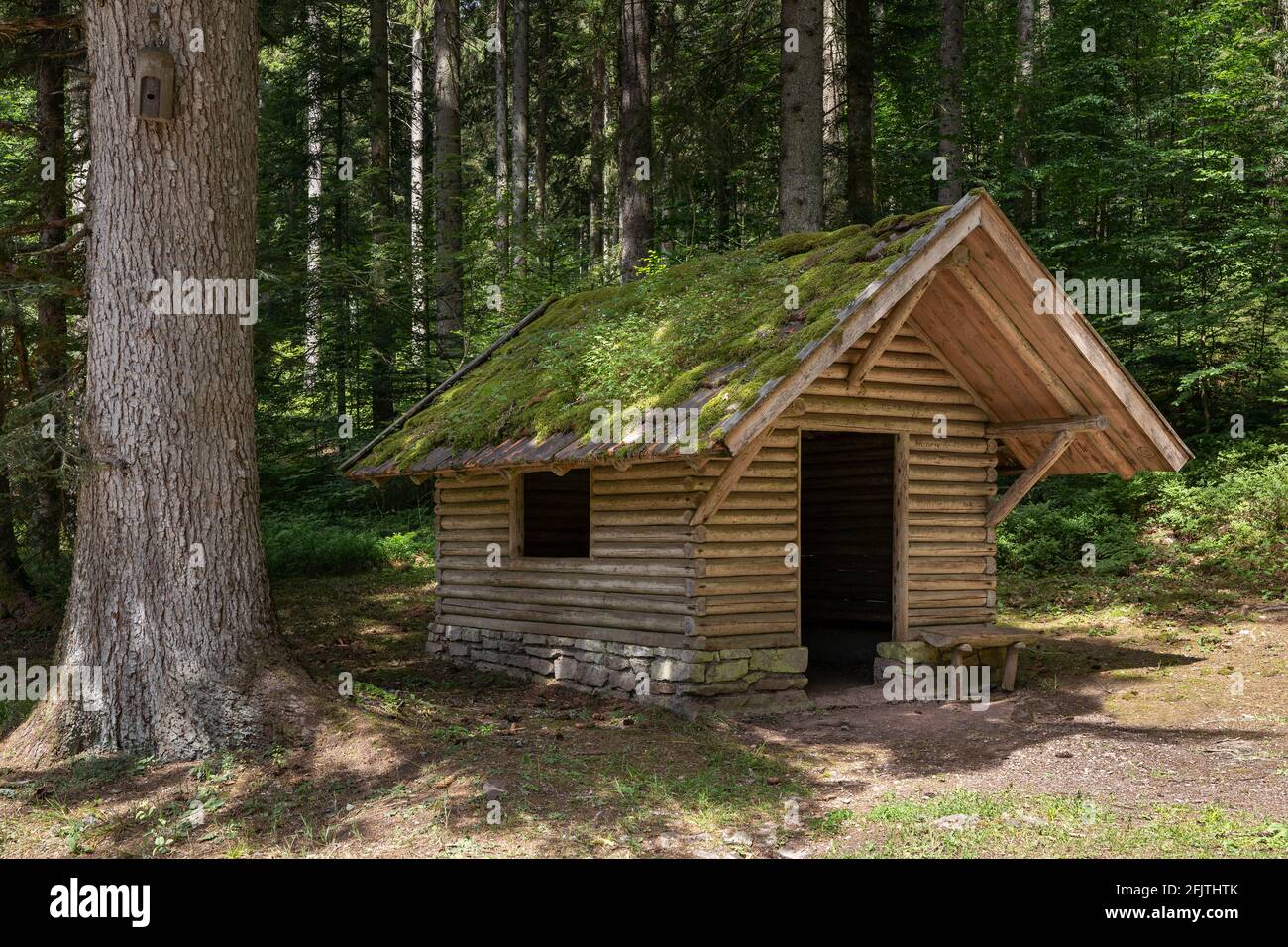 Wooden hut with moss-covered roof in the forest Stock Photo - Alamy