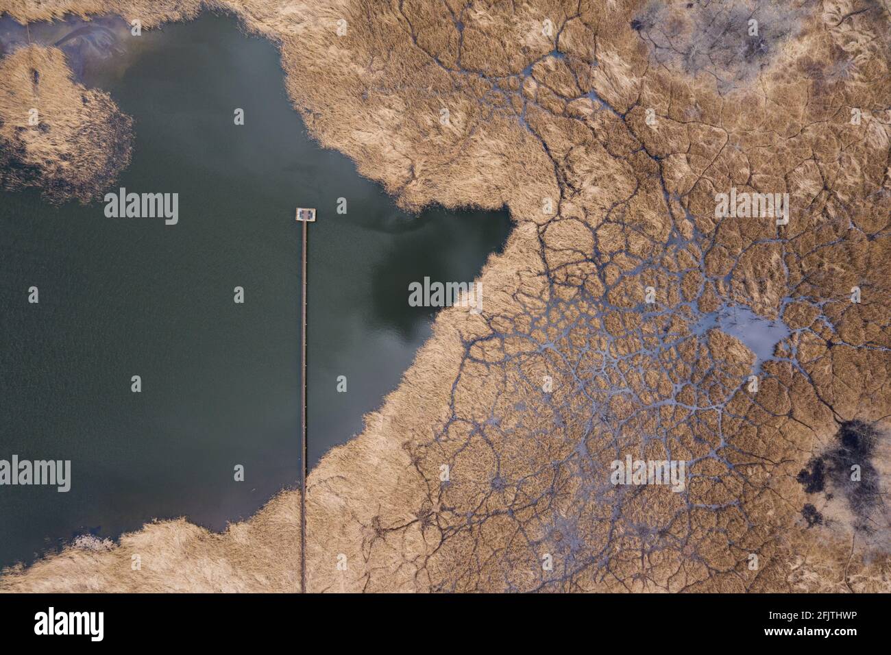 Lake used as industrial chemicals dump site with oil film on water and ...