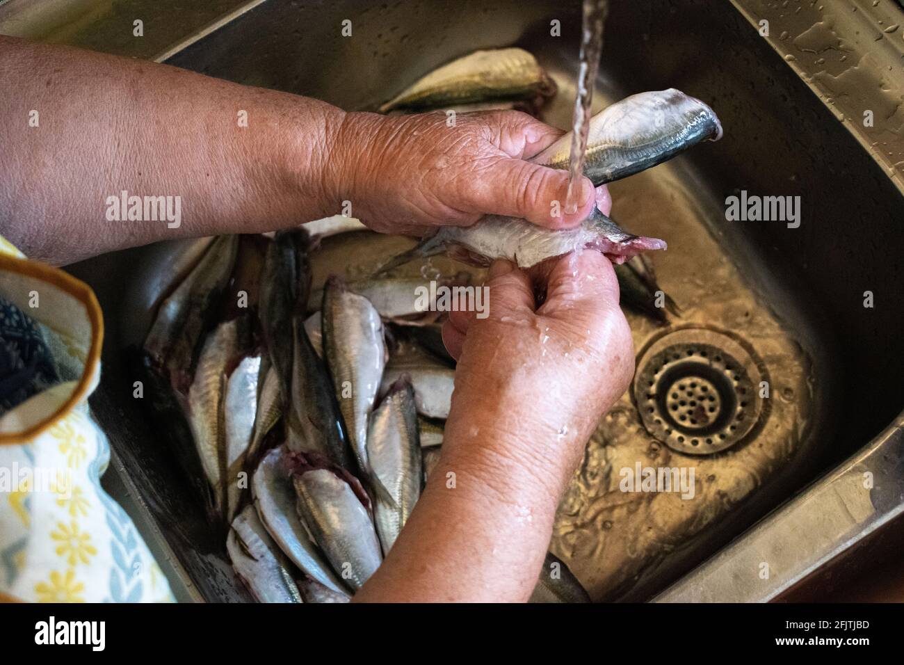 Elderly woman washing a fish in a kitchen sink Stock Photo - Alamy
