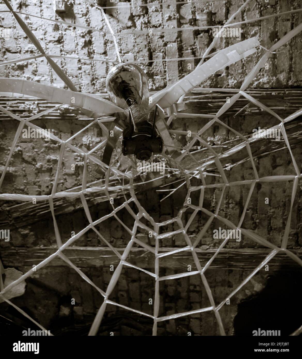 Grayscale of an artificial spider web with a fly on background of ...