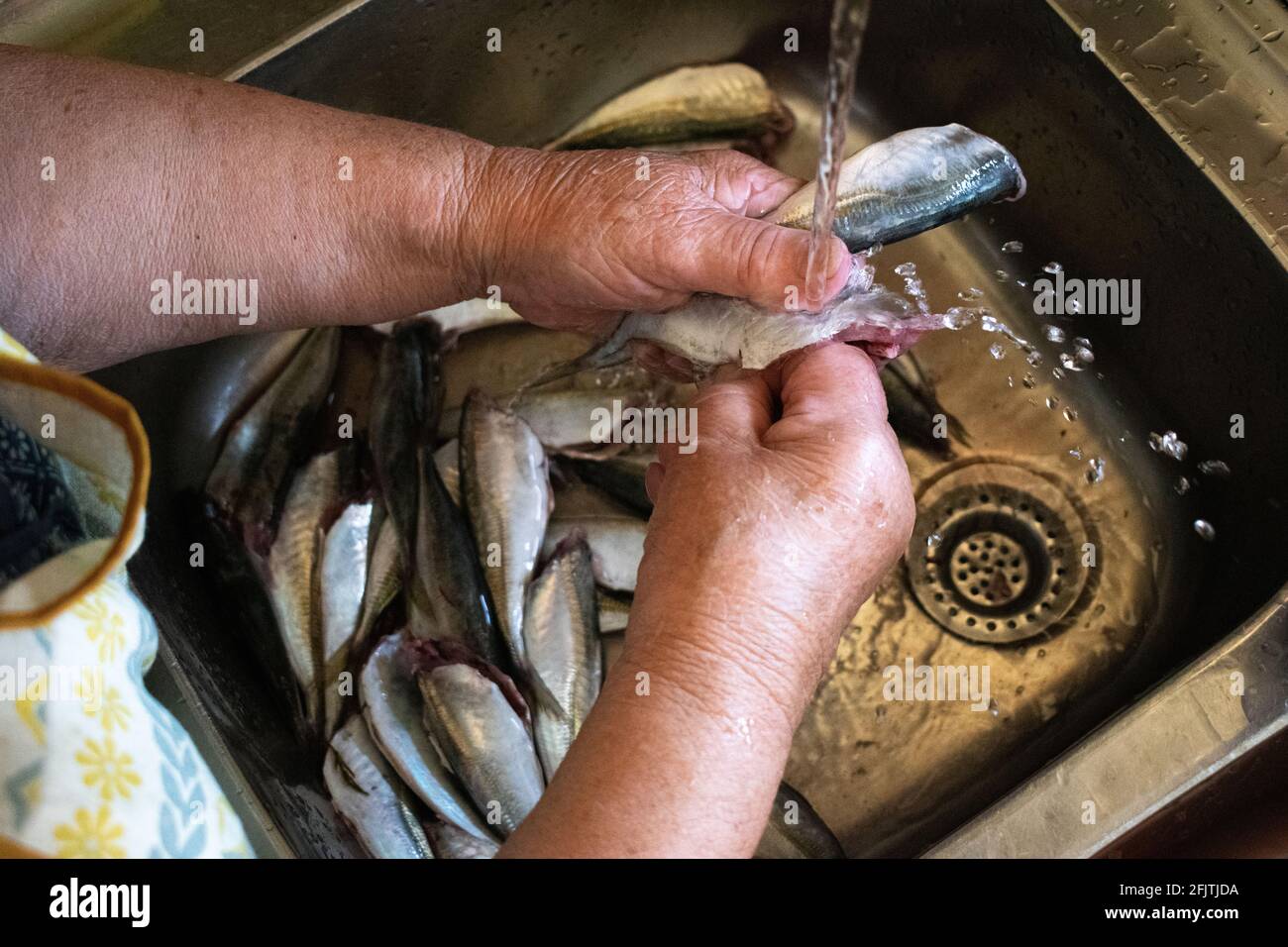 Elderly woman washing a fresh fish with water Stock Photo - Alamy