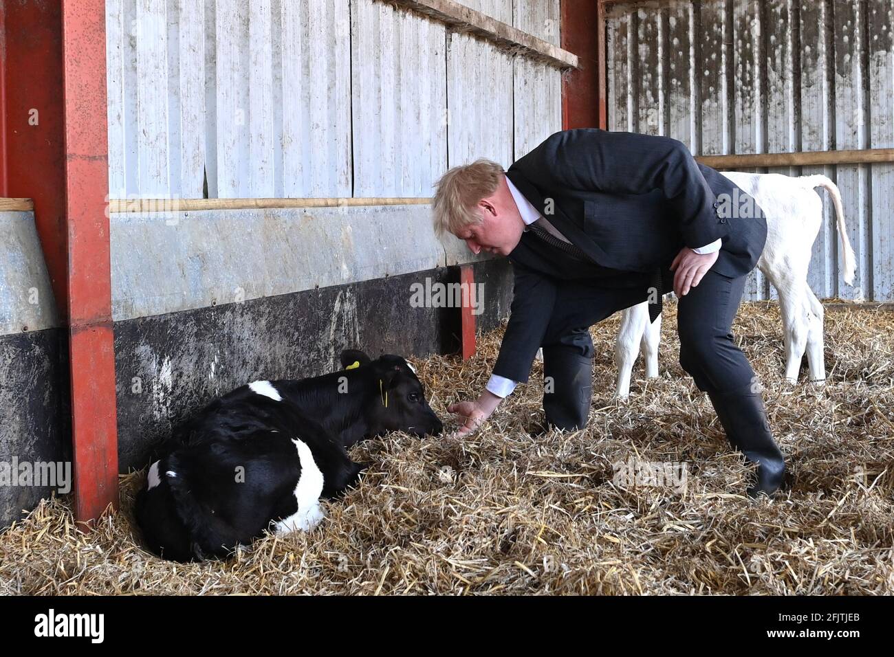 Boris johnson farm 2021 hi-res stock photography and images - Alamy