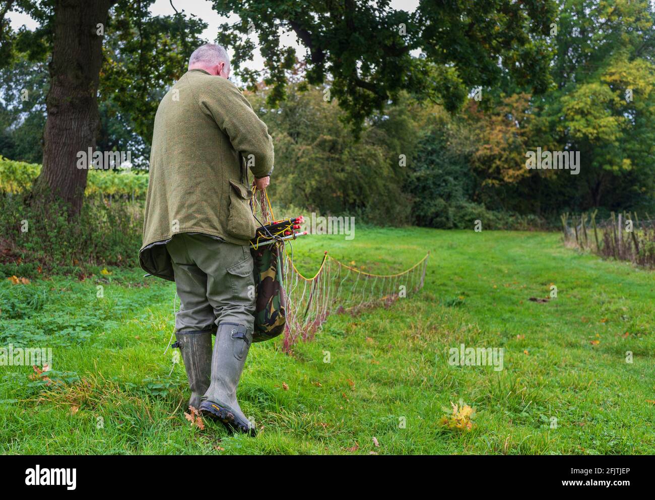 Kent, England, UK - A pest controller and warrener, working with a long ...