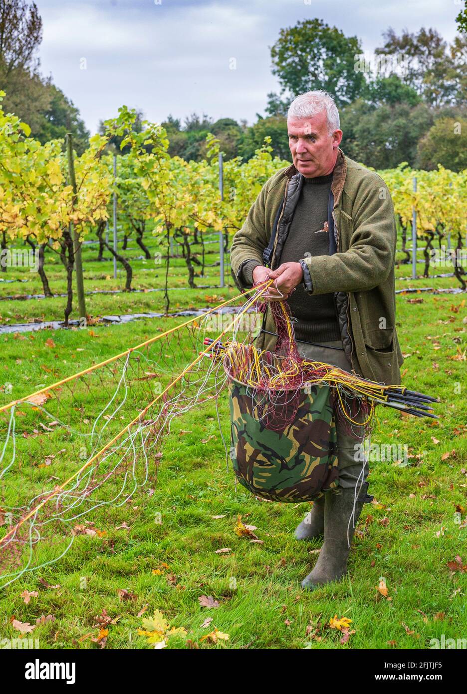 Rabbit hunting edge hi-res stock photography and images - Alamy