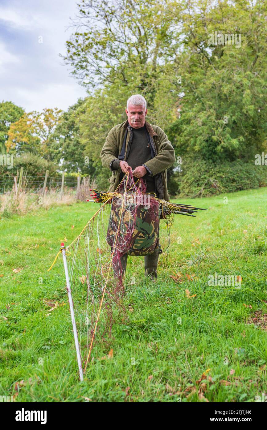 Kent, England, UK - A pest controller and warrener, working with a long ...