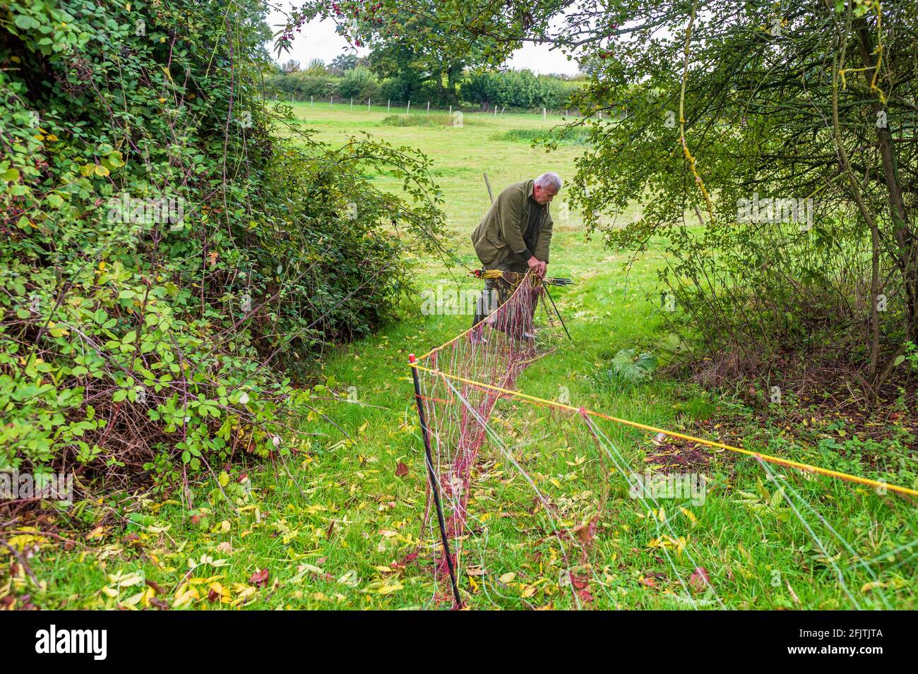 Kent, England, UK - A pest controller and warrener, working with a long ...