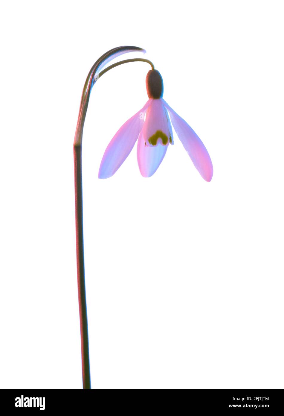 Neon 80s background futuristic Cut Out Stock Images & Pictures - Alamy