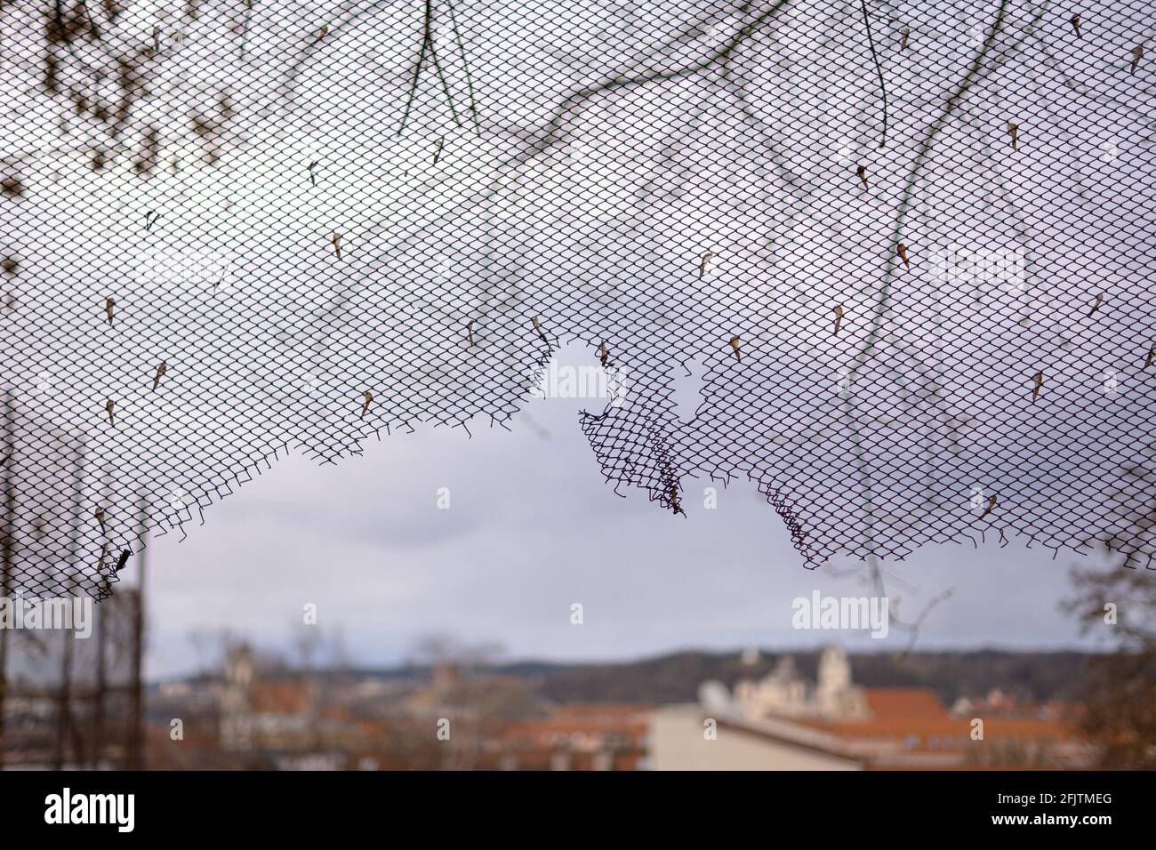 Metal fence broken holes hi-res stock photography and images - Alamy