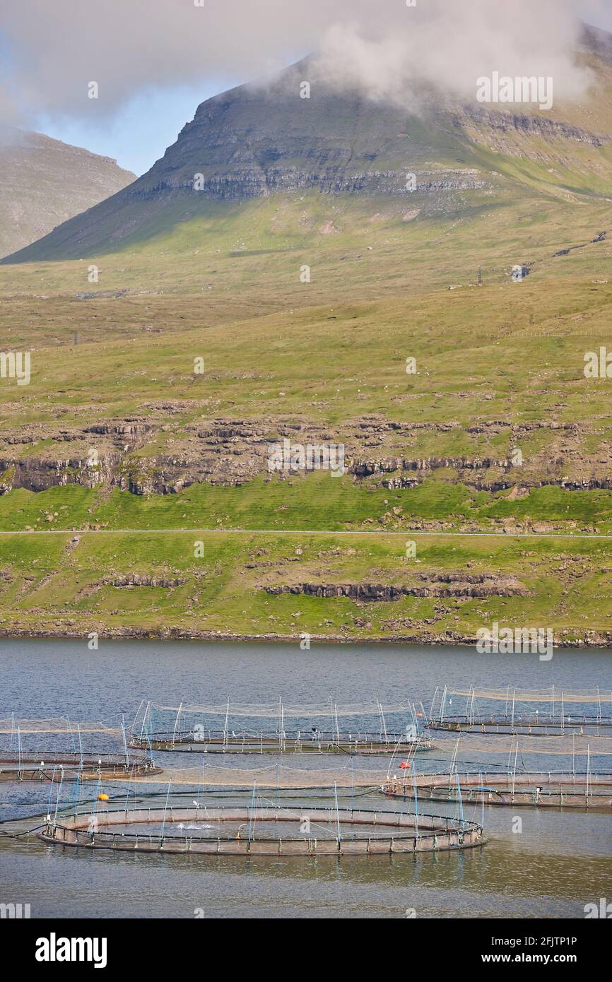 Salmon fishing farm pools in Faroe islands fjords. Aquaculture industry ...