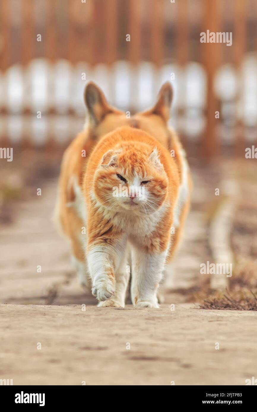 Menacing house hi-res stock photography and images - Alamy