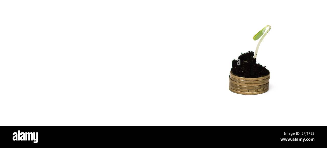 Money sprout hi-res stock photography and images - Alamy