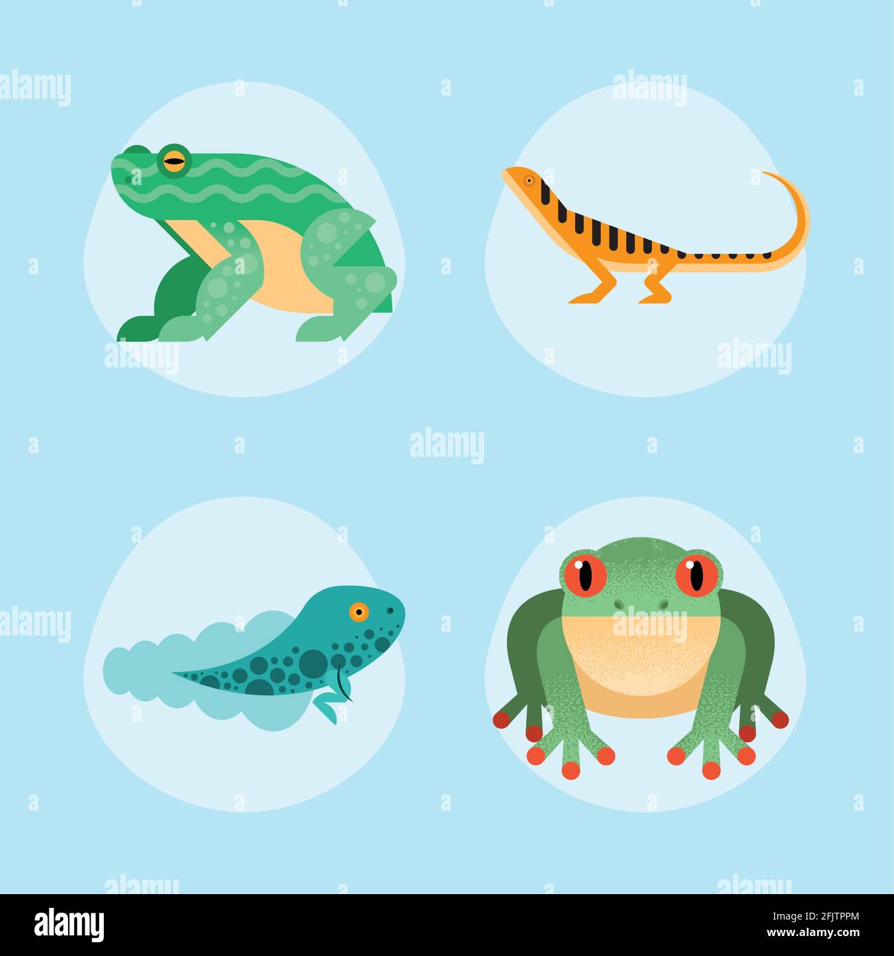 cute four amphibians set icons Stock Vector Image & Art - Alamy