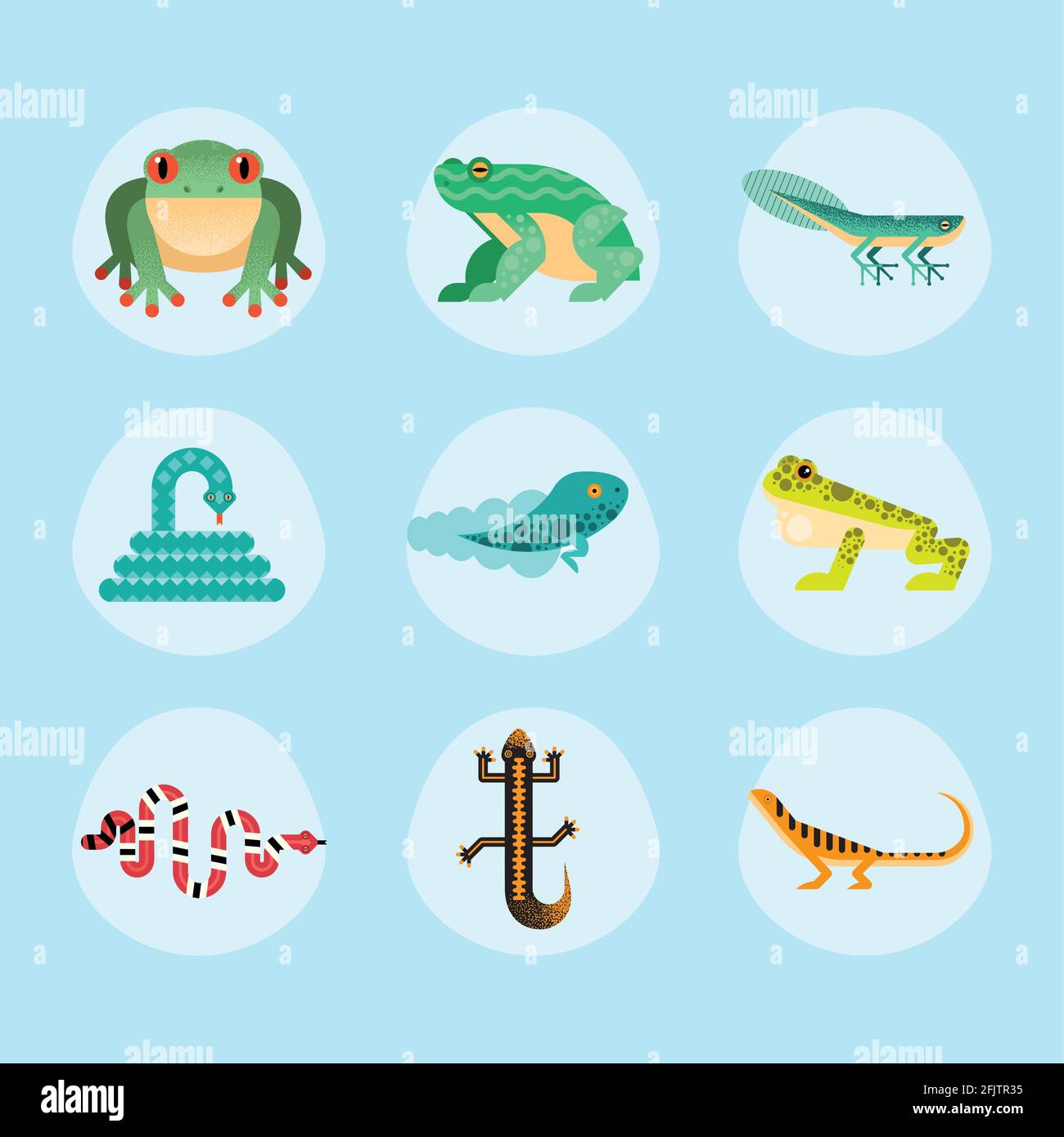 cute nine amphibians set icons Stock Vector Image & Art - Alamy