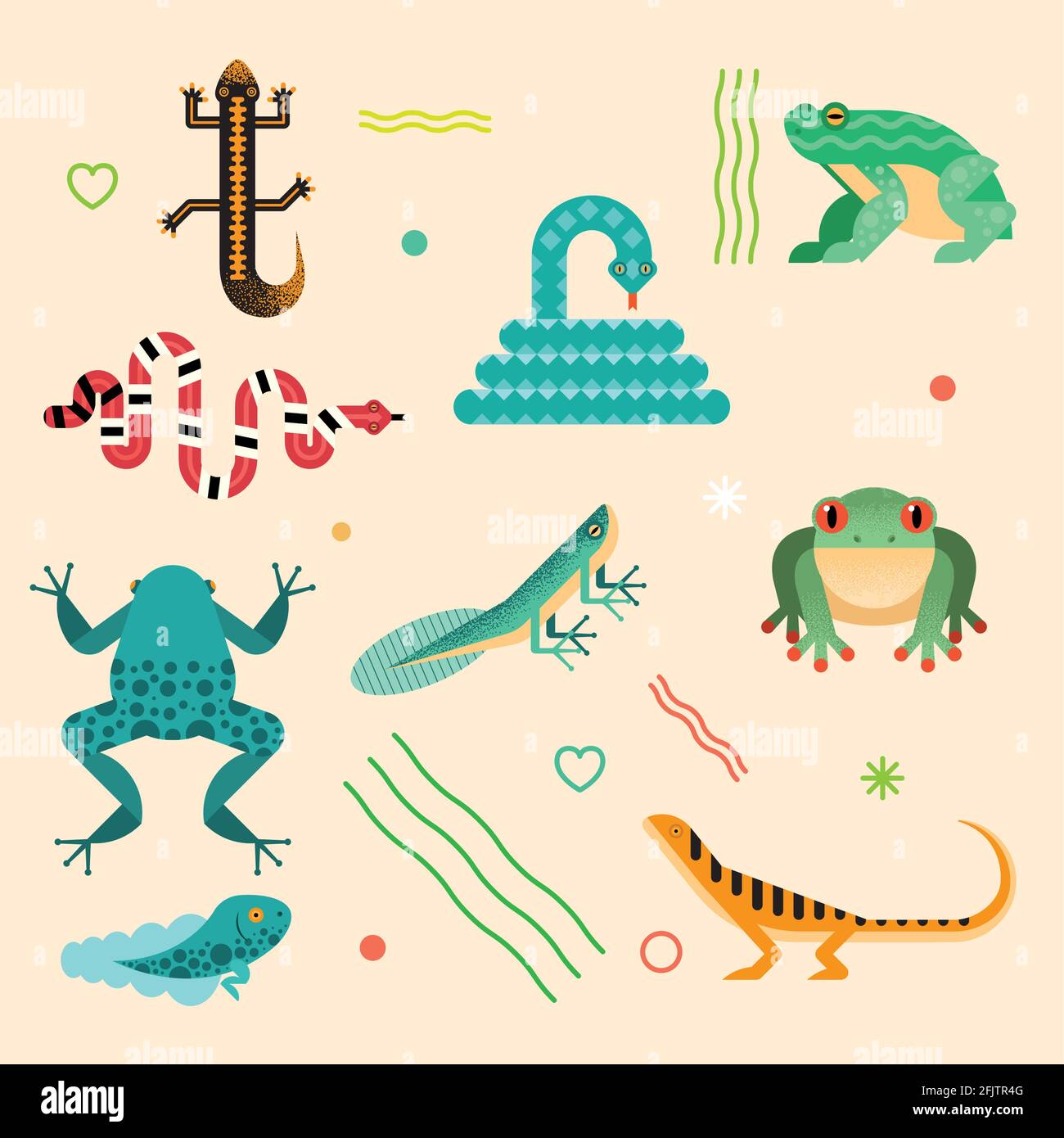 nine cute amphibians set icons Stock Vector Image & Art - Alamy